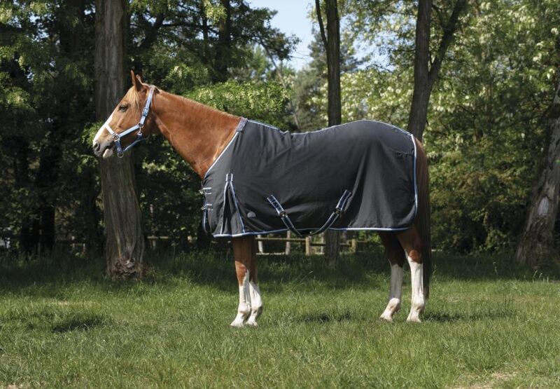 EQUI THÈME Baumwolldecke - Willkommen beim Megatape-Reitshop Pferdede ...